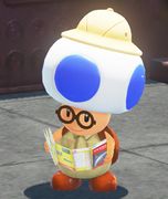 Hint Toad - Super Mario Wiki, the Mario encyclopedia