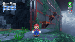 Nut (Super Mario Odyssey) - Super Mario Wiki, the Mario encyclopedia