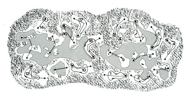 File:Golf NES world map art.jpg - Super Mario Wiki, the Mario encyclopedia