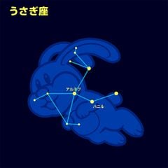 Rabbit - Super Mario Wiki, the Mario encyclopedia