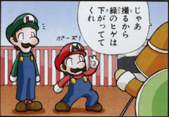Photographer (Koopa Troopa) - Super Mario Wiki, the Mario encyclopedia