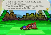 Goombaria - Super Mario Wiki, the Mario encyclopedia