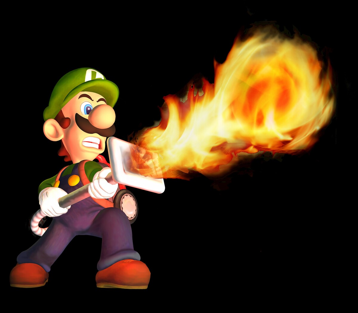 File:Fire Elemental Medal Luigi.jpg - Super Mario Wiki, the Mario ...