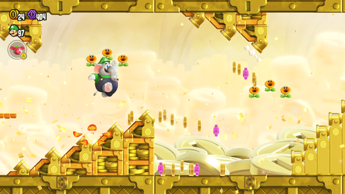 Bonus: Coins Galore! - Super Mario Wiki, the Mario encyclopedia