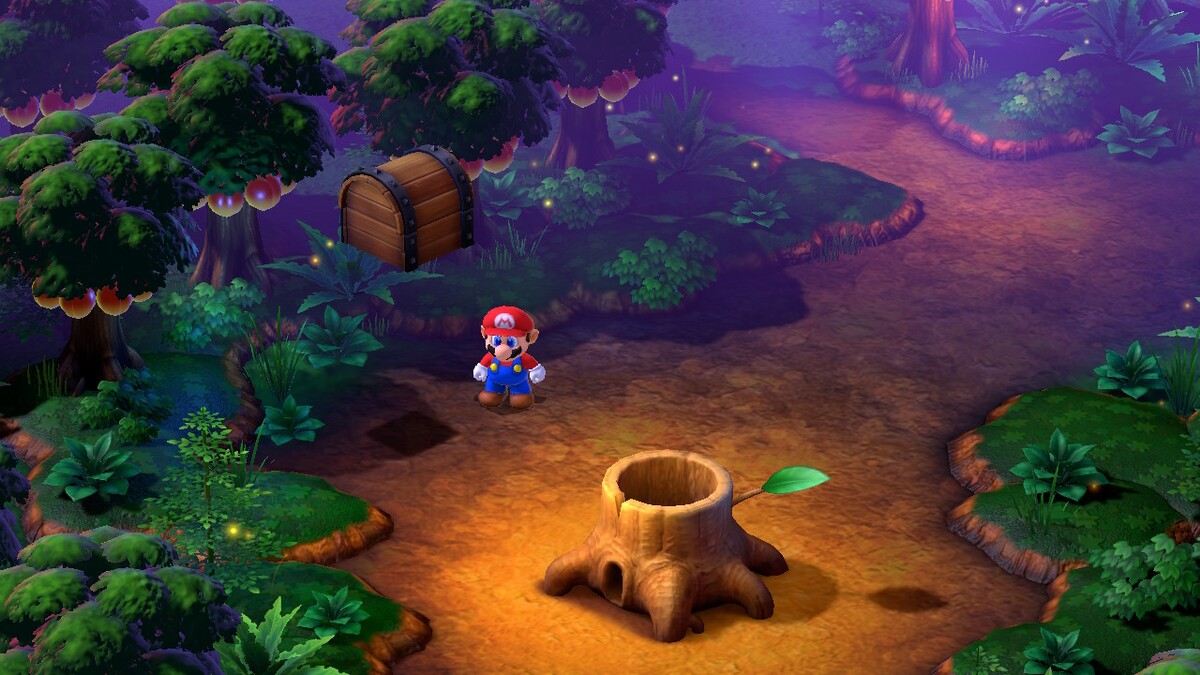 File:ForestMaze2Switch.jpg - Super Mario Wiki, the Mario encyclopedia