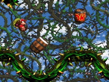 Stickerbush Symphony (Bramble Blast) - Super Mario Wiki, the Mario ...