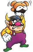 Pirate Goom - Super Mario Wiki, the Mario encyclopedia