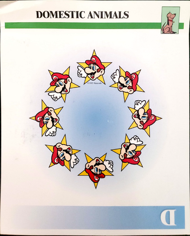 File:Domestic Animals quiz card divider.png - Super Mario Wiki, the ...