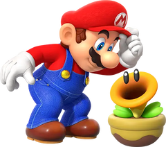 Talking Flower - Super Mario Wiki, the Mario encyclopedia