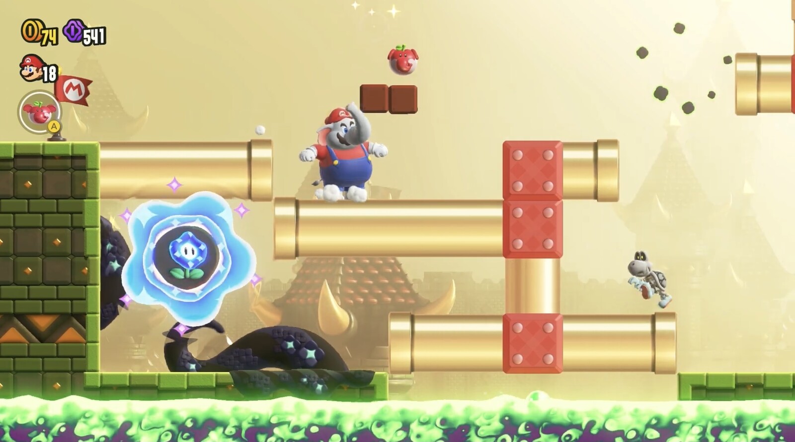 File:SMBW Pipe-Rock Plateau Palace first checkpoint.jpg - Super Mario ...