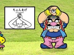 Splunk - Super Mario Wiki, the Mario encyclopedia