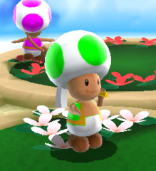 Banktoad - Super Mario Wiki, the Mario encyclopedia