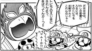 Mask Gate - Super Mario Wiki, the Mario encyclopedia