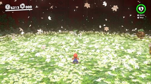 Secret Flower Field - Super Mario Wiki, the Mario encyclopedia