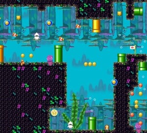 World 3-3 (New Super Mario Bros.) - Super Mario Wiki, the Mario ...