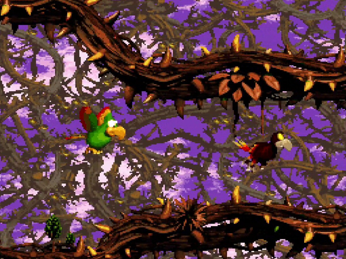 File:NM DKC2 Bad Bird Rag Screechs Sprint.jpg - Super Mario Wiki, the ...