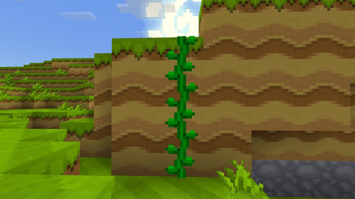 File:Minecraft Mario Mash-Up Vines.jpg - Super Mario Wiki, the Mario ...