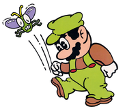 Fighter Fly - Super Mario Wiki, the Mario encyclopedia