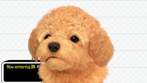 Nintendog - Super Mario Wiki, the Mario encyclopedia