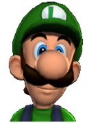 Category:NBA Street V3 images - Super Mario Wiki, the Mario encyclopedia