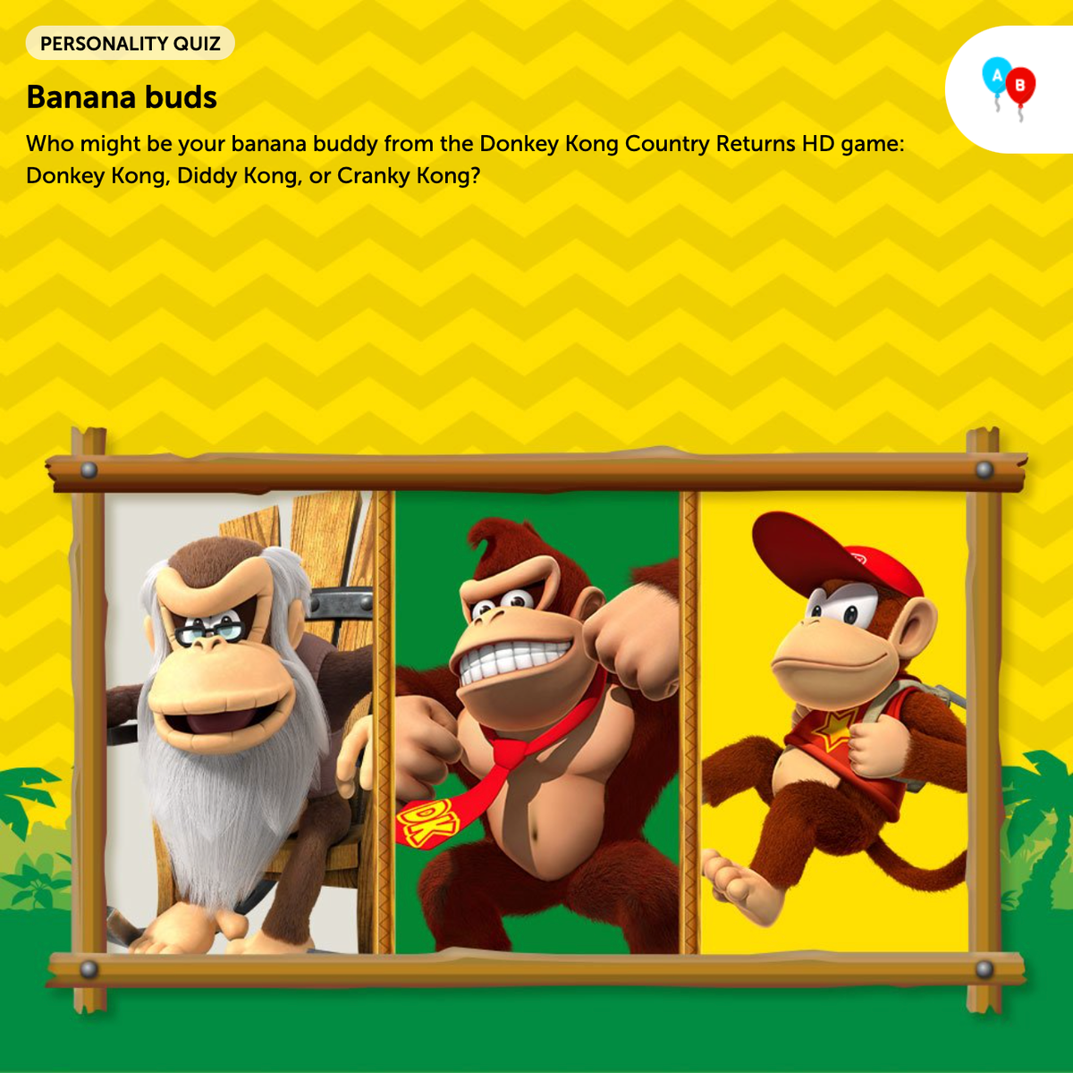 Who's Your Donkey Kong Country Returns HD Banana Bud? - Super Mario ...