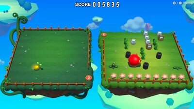 Pyoro W - Super Mario Wiki, the Mario encyclopedia