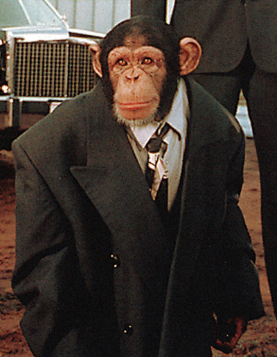 Anthony Scapelli - Super Mario Wiki, the Mario encyclopedia