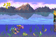 Lakeside Limbo - Super Mario Wiki, the Mario encyclopedia
