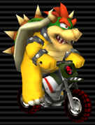Standard bike (vehicle class) - Super Mario Wiki, the Mario encyclopedia