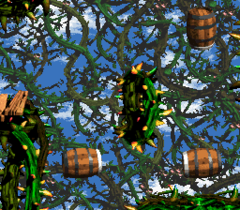 Bramble Blast (Donkey Kong Country 2) - Super Mario Wiki, the Mario ...