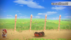 Recorder - Super Mario Wiki, the Mario encyclopedia