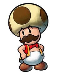 User:W - Super Mario Wiki, the Mario encyclopedia