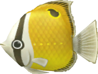 Fish - Super Mario Wiki, the Mario encyclopedia