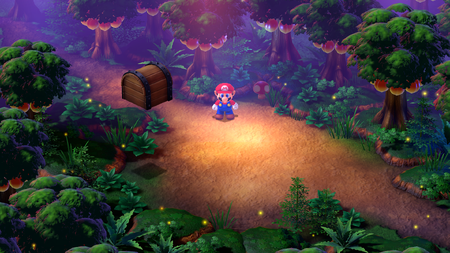 Forest Maze - Super Mario Wiki, the Mario encyclopedia