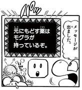 Message Block - Super Mario Wiki, the Mario encyclopedia