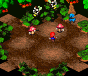 Forest Maze - Super Mario Wiki, the Mario encyclopedia