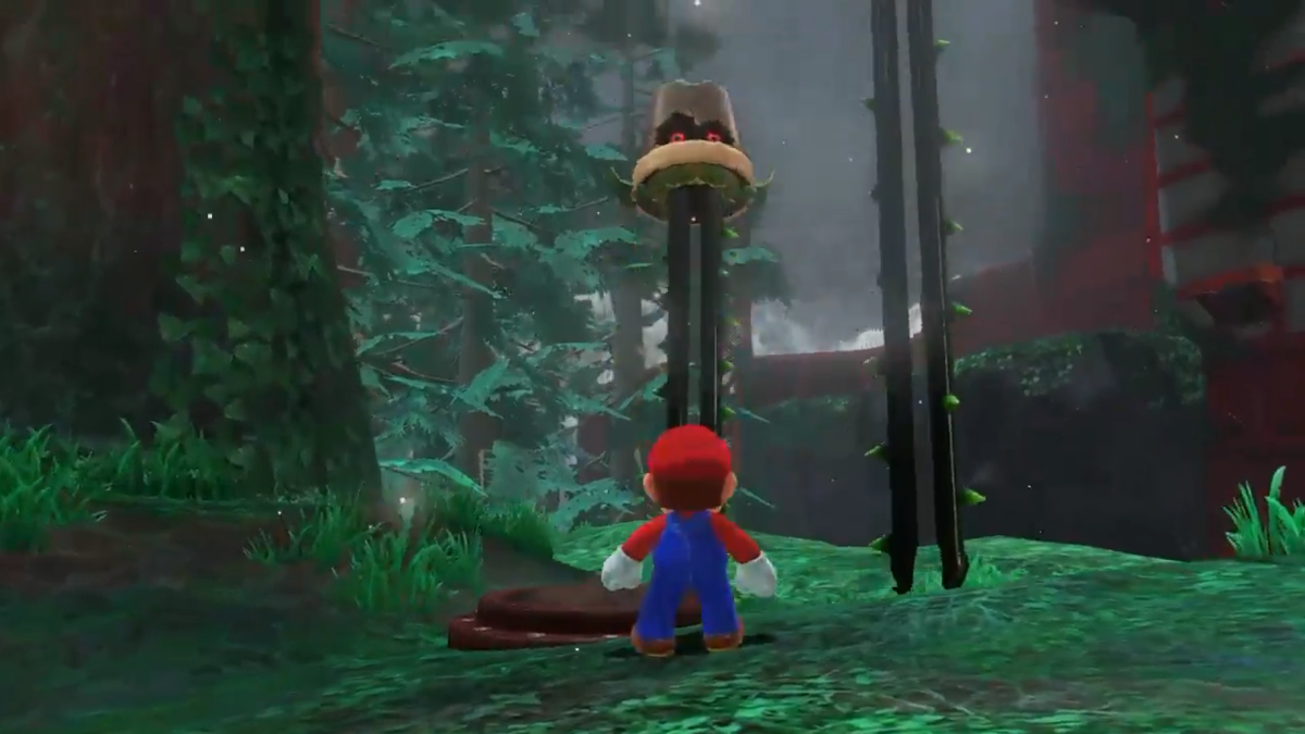 File:SMO Flower Pots.PNG - Super Mario Wiki, the Mario encyclopedia