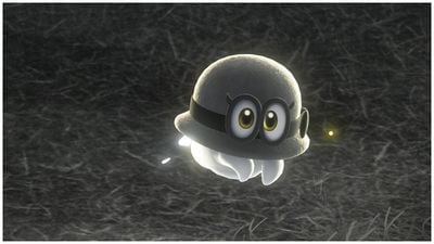Bonneter - Super Mario Wiki, the Mario encyclopedia