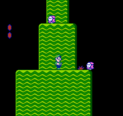 List of Super Mario Bros. 2 pre-release and unused content - Super ...