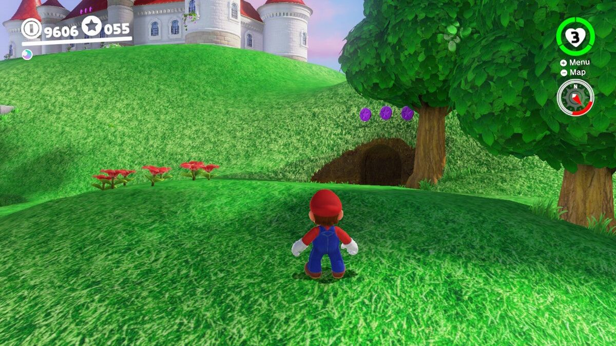 File:Mushroom Kingdom Coins R.jpg - Super Mario Wiki, the Mario ...