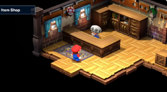 Item Shop - Super Mario Wiki, the Mario encyclopedia