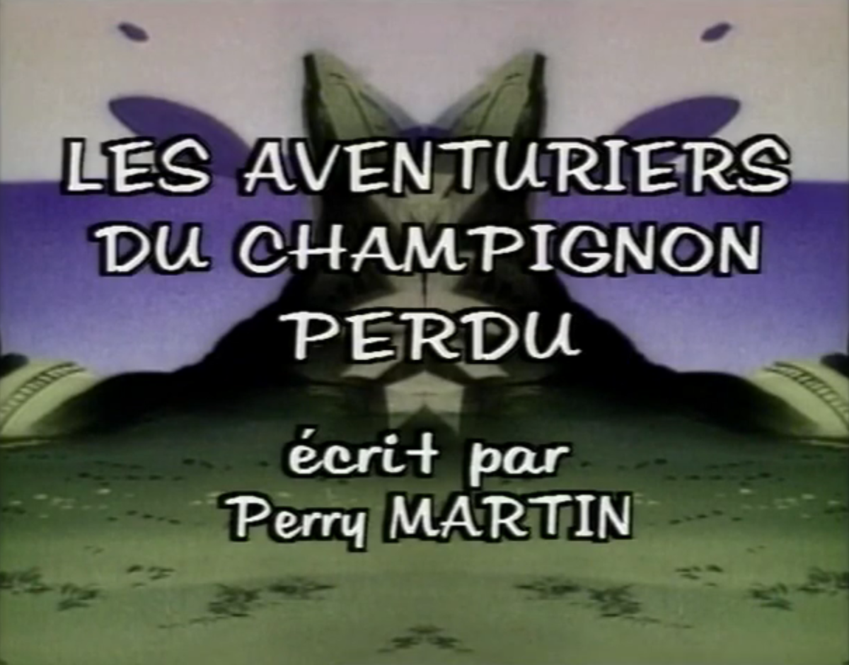 File:TSMBSS Raiders of the Lost Mushroom title card FRE.png - Super ...