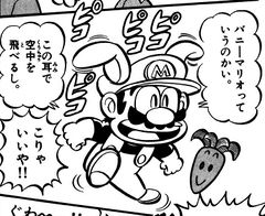 Bunny Mario - Super Mario Wiki, the Mario encyclopedia