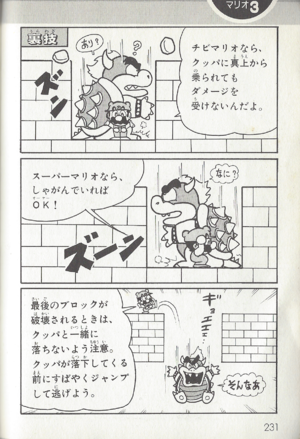 List of Super Mario Bros. 3 glitches - Super Mario Wiki, the Mario ...