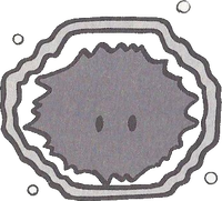 Spark - Super Mario Wiki, the Mario encyclopedia