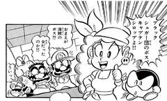 Gallery:Captain Syrup - Super Mario Wiki, the Mario encyclopedia