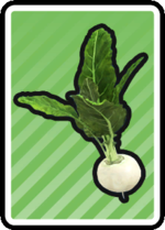 Turnip (Thing) - Super Mario Wiki, the Mario encyclopedia