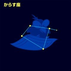 Pidgit - Super Mario Wiki, the Mario encyclopedia