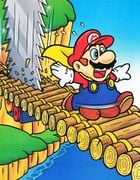 Bridge - Super Mario Wiki, the Mario encyclopedia