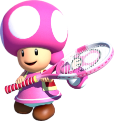 Gallery:Toadette - Super Mario Wiki, the Mario encyclopedia